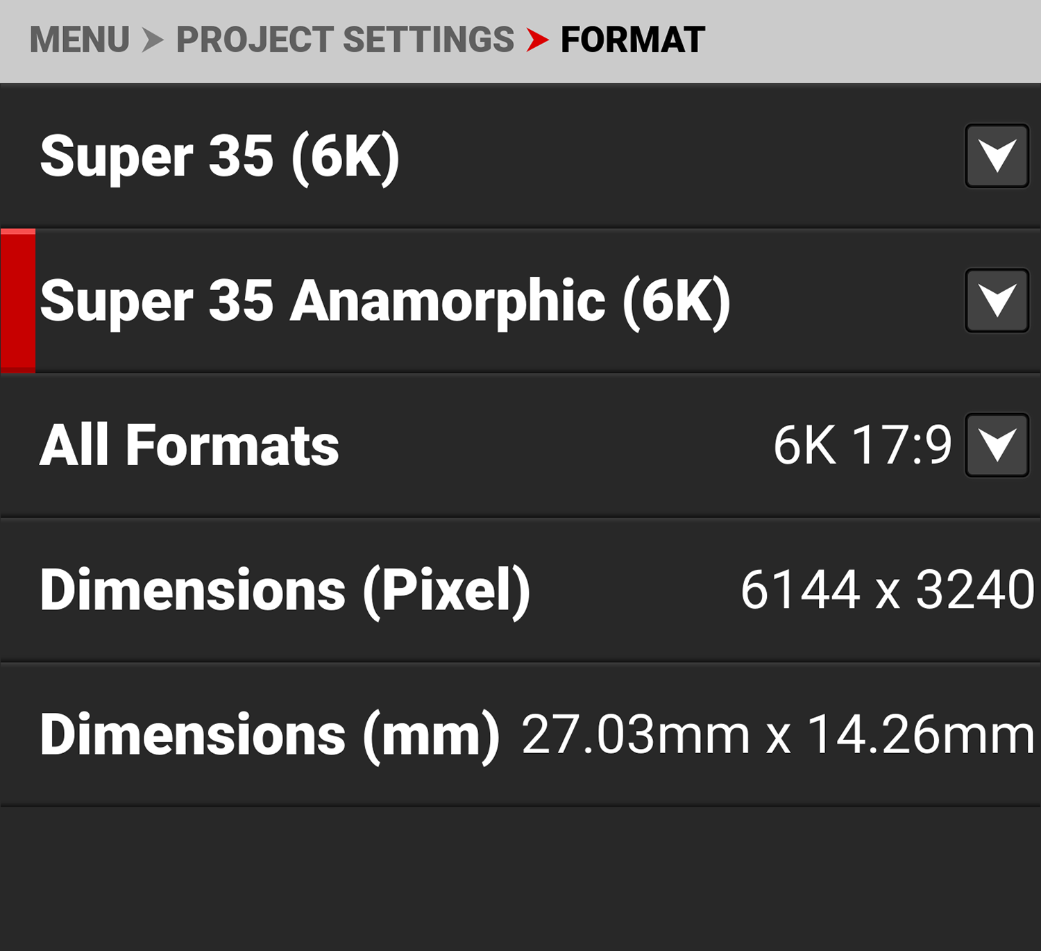 Super 35 Anamorphic (6K)